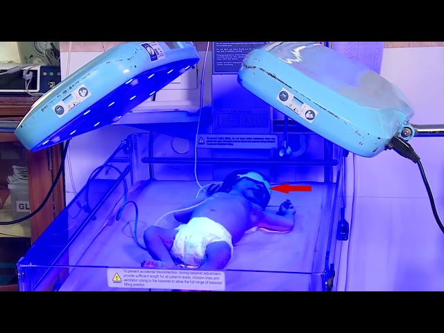 Hospital Machines - Bpl 12 Channel Ecg Machine Trader - Retailer from Patna