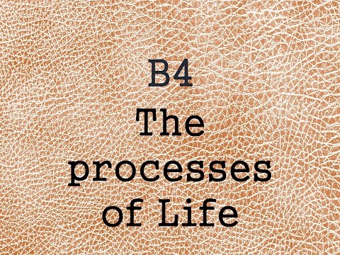 GCSE Biology Key Words OCR Additional Science B4 - The processes of life