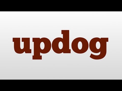 updog meaning and pronunciation