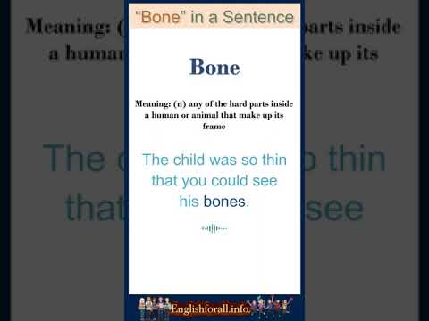 Bone meaning | Bone in a Sentence | Most common words in English #shorts