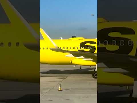 Spirit Airlines announces Chapter 11 bankruptcy #national #spiritairlines #travel