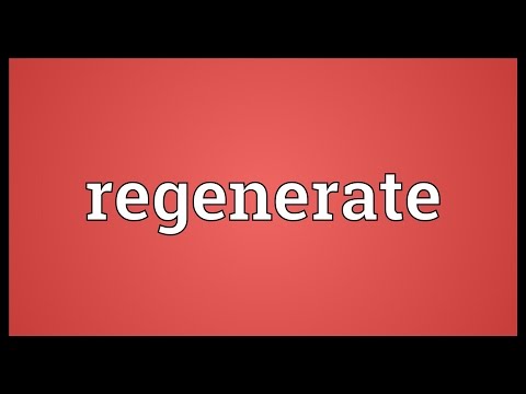 Regenerate Meaning