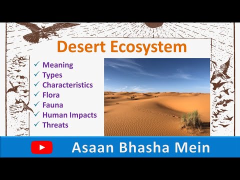 Desert Ecosystem in Hindi (मरुस्थलीय पारितन्त्र) | Meaning | Types | Flora | Fauna | Threats