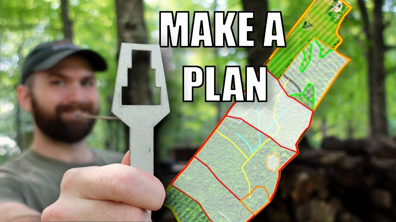 Creating a Forest Management Plan Using SilviCultural