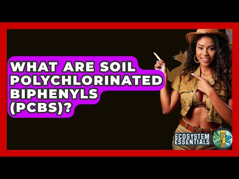 What Are Soil Polychlorinated Biphenyls (PCBs)? - Ecosystem Essentials