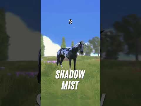 All the horses are my favorite!!