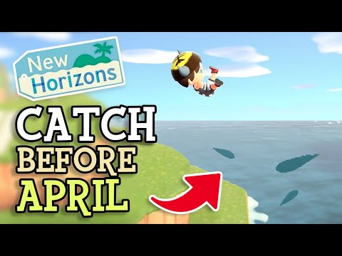 Animal Crossing New Horizons: CATCH FISH & BUGS BEFORE APRIL (March Critters You NEED To Find)