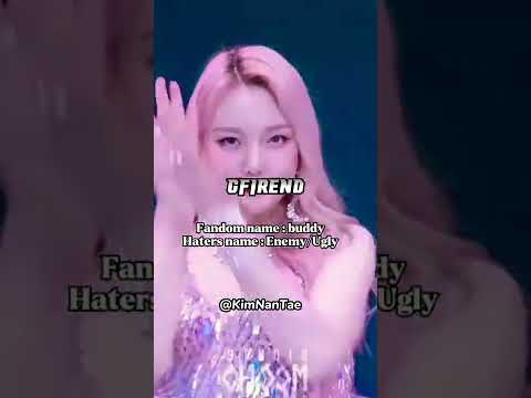 Kpop groups Fandom names VS Their Haters name #shorts#kpop#kimnantae