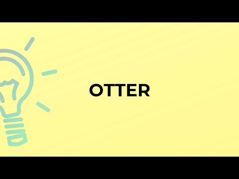 What is the meaning of the word OTTER?