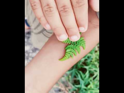 nature's TATTOO #naturetattoo silver tattoo fern (Pityrogramma calomelanos)