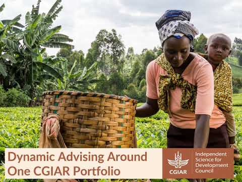 Dynamic Advising Around One CGIAR Portfolio