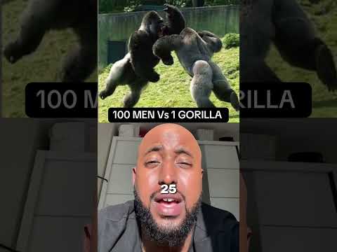 What a 100 men vs 1 gorilla scenery will look like