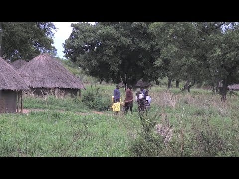 Advances in forest tenure reform in Uganda