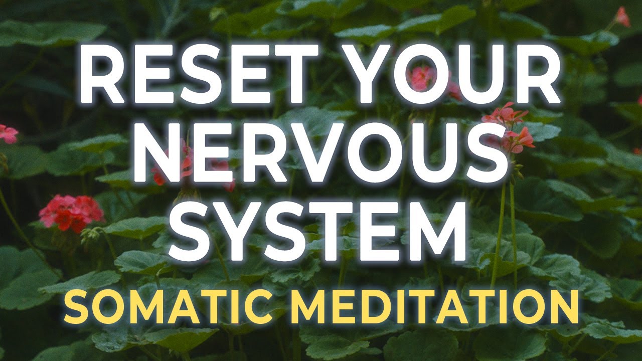 Vagus Nerve Reset Meditation | Somatic Practice for Deep Nervous System Renewal