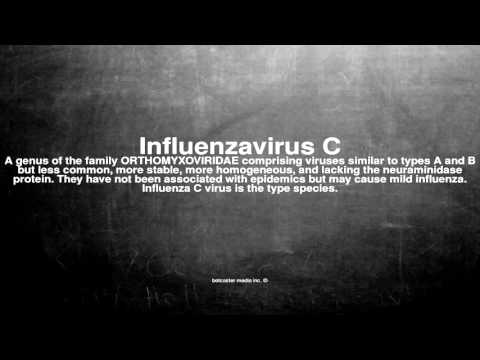 Medical vocabulary: What does Influenzavirus C mean