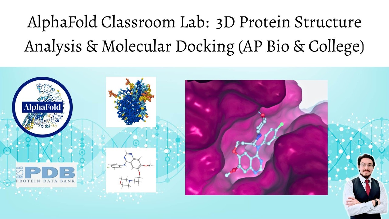 Class lab activity; Protein-ligand docking Analysis with AlphaFold - AP/Uni Lab Tutorial