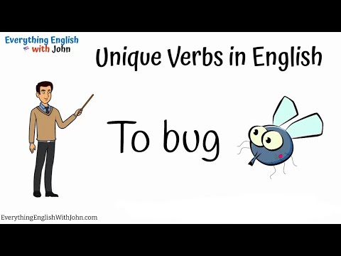 To Bug: Learn English Verbs Easily and Quickly #englishvocabulary