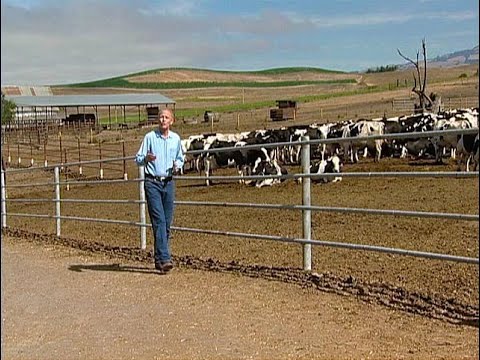 Government Video Production in San Francisco by eIMAGE: "National Animal Identification System"