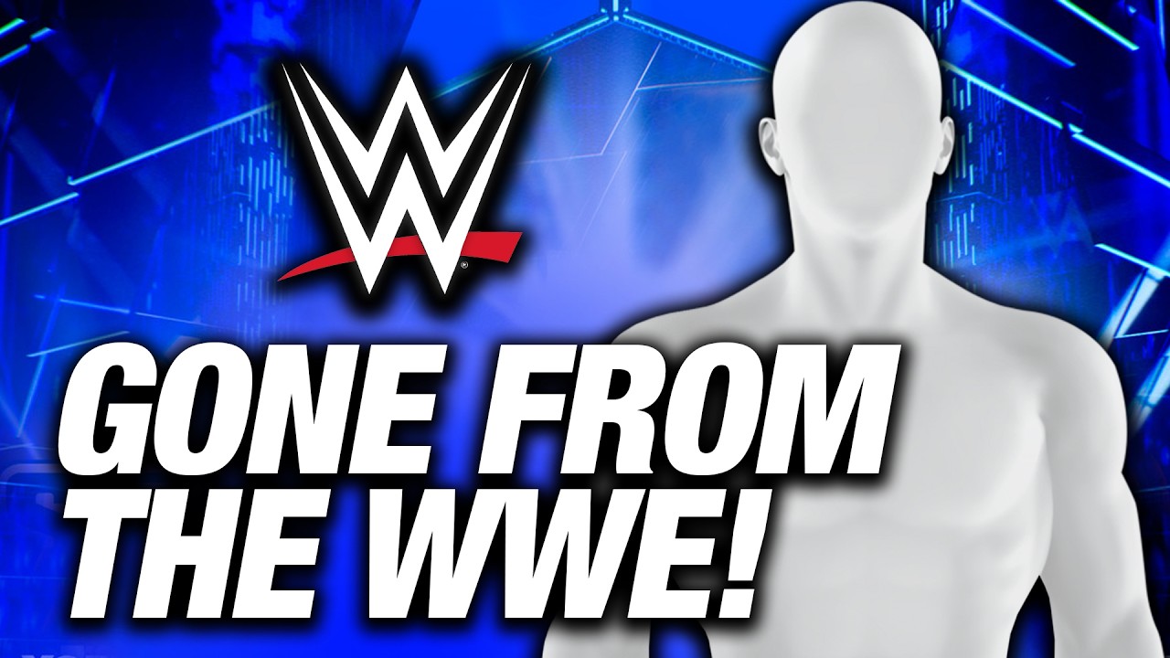 WWE Star Gone From Company! CM Punk Slaps Fan.. More WWE News!