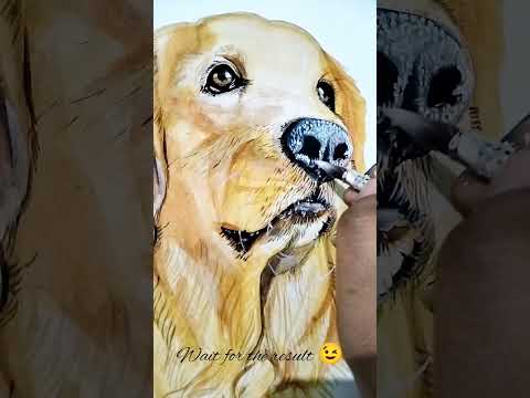 cute dog portrait watercolor painting #video #colors #viral #watercolor #painting #cutedog #followme