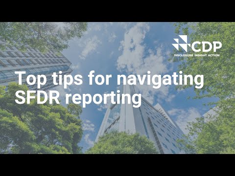 Top tips for navigating SFDR Reporting