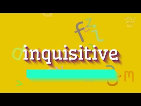 How to say "inquisitive"! (High Quality Voices)
