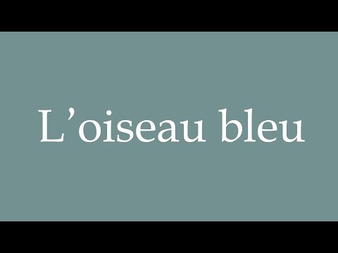 How to Pronounce ''L'oiseau bleu'' (Blue bird) Correctly in French