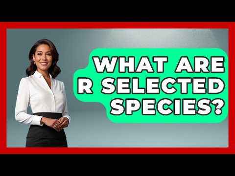 What Are R Selected Species? - Biology For Everyone