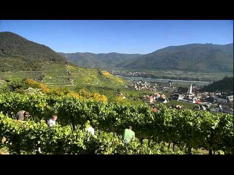 Wachau (english)