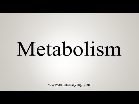 How To Say Metabolism