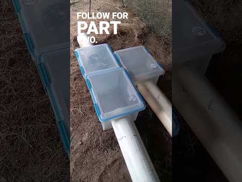 DIY RABBIT BURROWS FOR RABBIT COLONY 🐇🐰 Upgrading the bucket burrows #meatrabbits #rabbitcolony