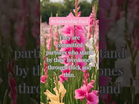 Relationship Fact: August's Birth Flower, the Gladiolus Birth Flowers By Month And Meaning 🌷#short