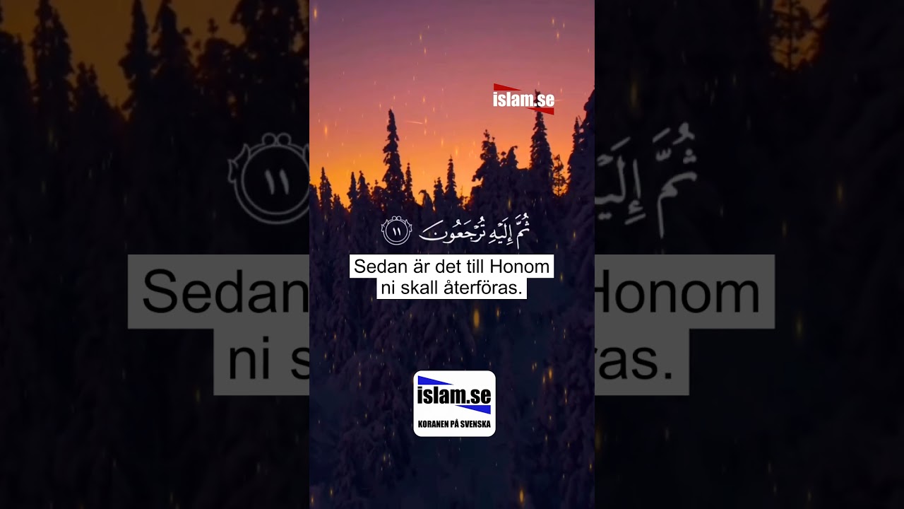 Koranen på svenska Surah 30 vers 11 u0026 12