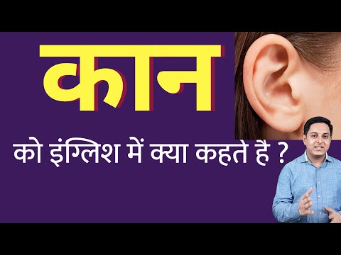 कान को इंग्लिश में क्या कहते हैं ? kan ko English mein kya kahate hain | Spoken English classes