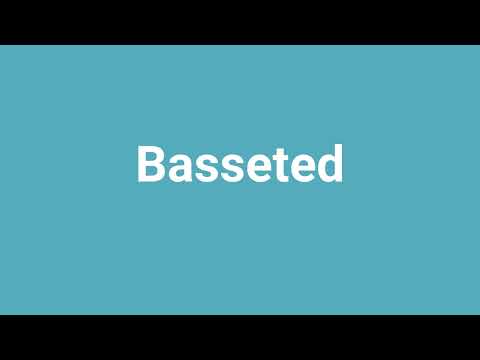 'Basseted' Meaning and Pronunciation