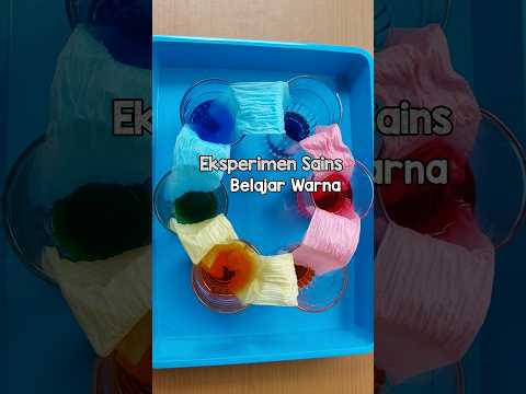 Eksperimen Sains - Kapilaritas dan Belajar Warna #shorts #eksperimen