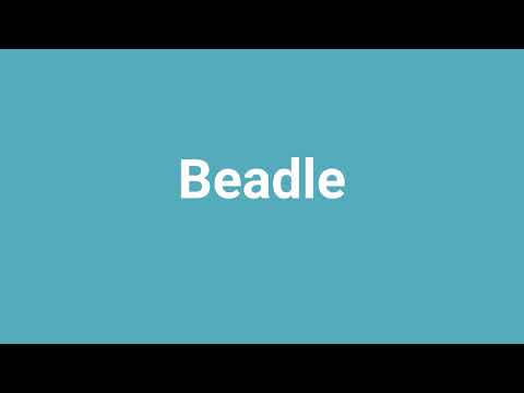 'Beadle' Meaning and Pronunciation