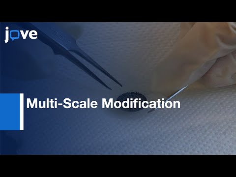 Multi-Scale Modification Of Metallic Implants-Pore Gradients, Polyelectrolytes l Protocol Preview