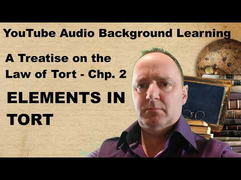 Elements of Tort Law: Chapter 2 of A Treatise on the Law of Tort