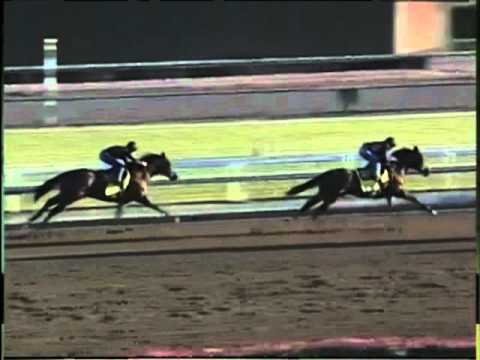 Breeders' Cup 2011: The Works - Game On Dude & To Honor And Serve