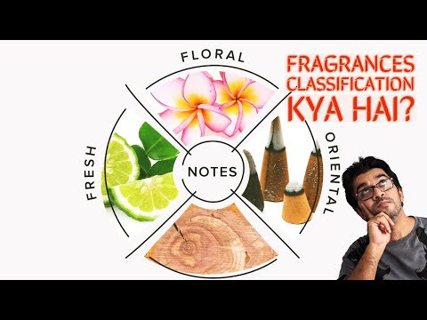 FRAGRANCES CLASSIFICATION - Explained in Hindi/Urdu (Better Audio)
