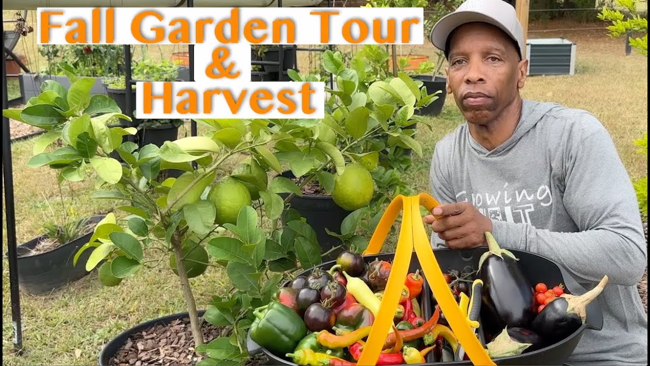 Fall Garden Tour & Harvest in October