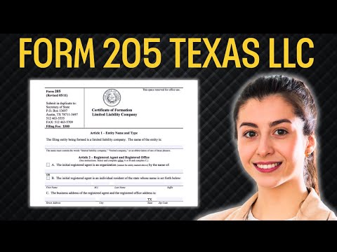 How To Fill Out Form 205 LLC Texas (2025) STEP BY STEP