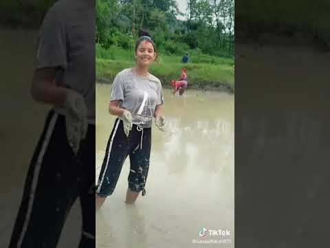 Awesome Tik tok dance by saru adhikari on nepali Nepali hot hot dance nepali sexy hot dance nepali