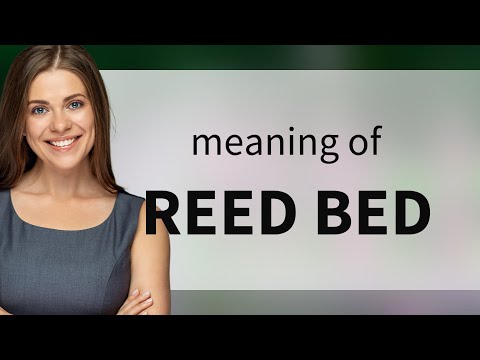 Dive into the Phrase "Reed Bed"