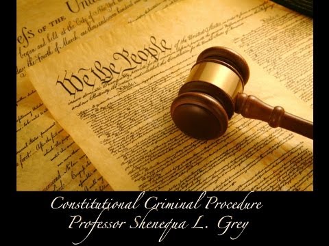 Exceptions to Warrant Requirement Part 2