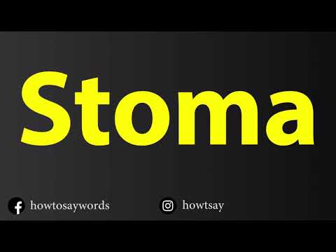 How To Pronounce Stoma