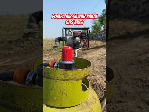 Mesin pompa air sawah pakai gas lpg 3 kg, kuat sampai 6 jam ! #shorts #petani #sawah #farmerlife