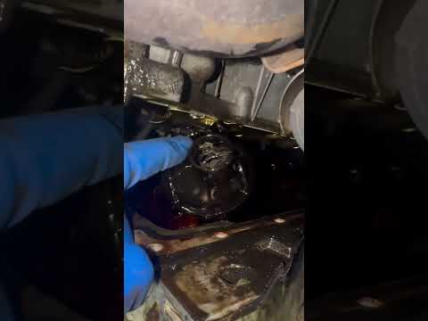 BMW another belt inside the oil pan