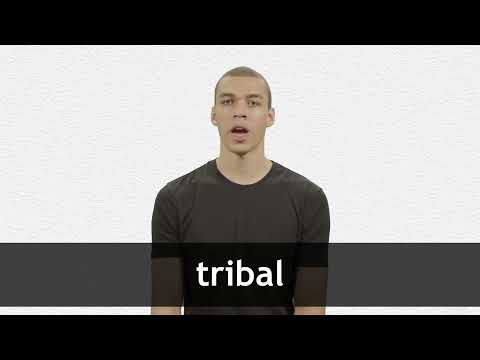 TRIBAL definition and meaning | Collins English Dictionary